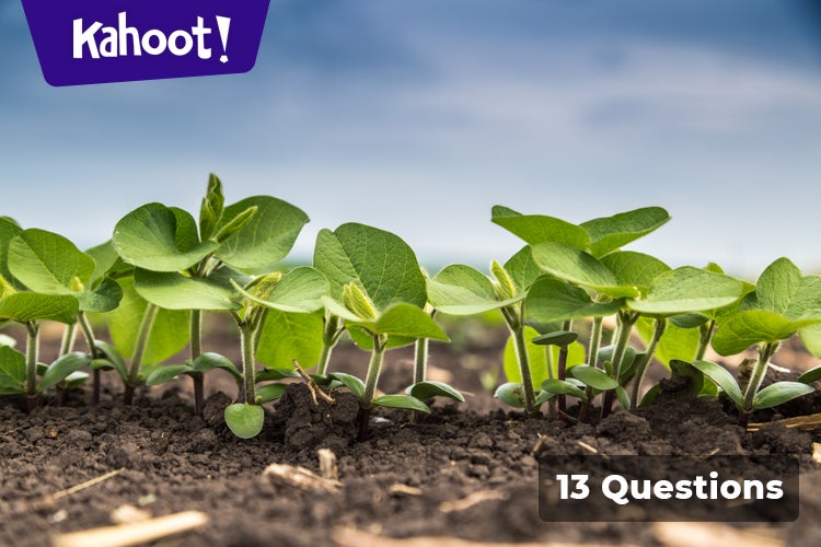 Plant Life Cycle - Kahoot! Quiz