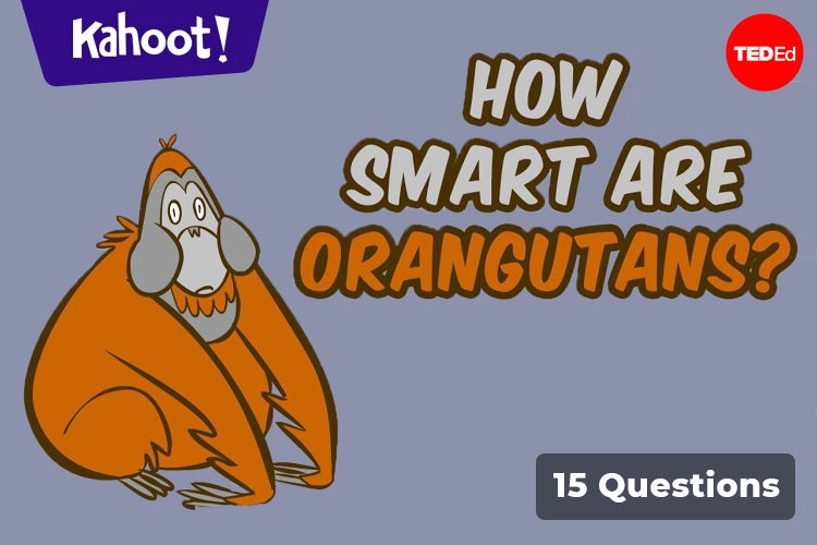 How smart are orangutans? - Kahoot! Quiz
