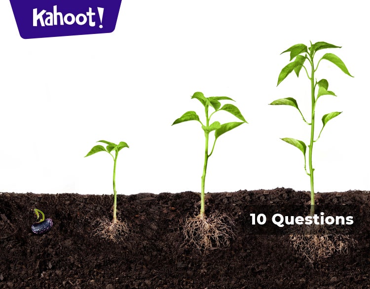 Plants and Flowers - Kahoot! Quiz