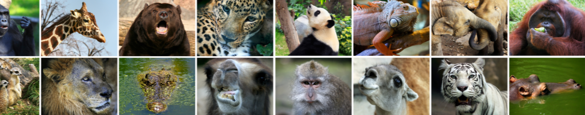 Guess the Animal - Kahoot! Quiz Collection