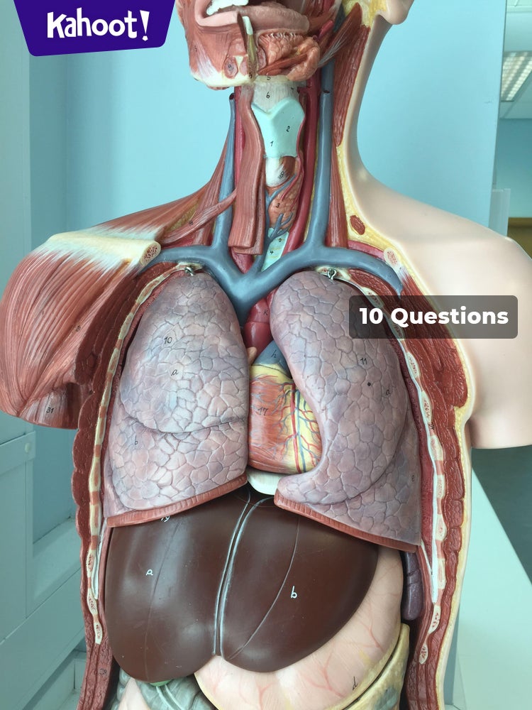 PA week 103 - great vessels quiz - Kahoot! Quiz