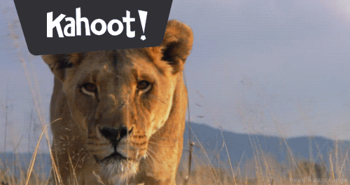 ANIMALS interesting facts - Kahoot! Quiz