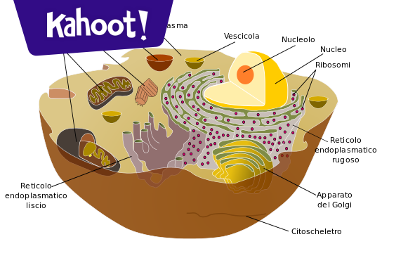 THE CELL - Kahoot! Quiz