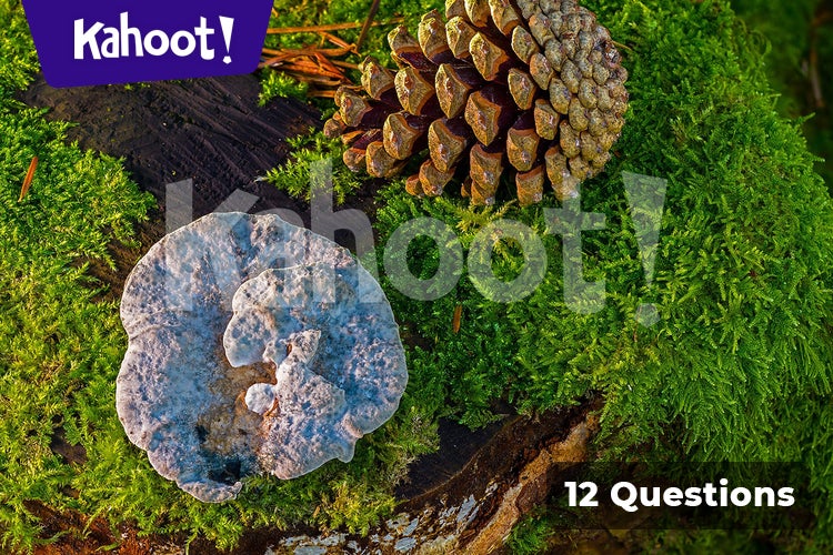 Duplicate of Ecology: Biotic and Abiotic Resources - Kahoot! Quiz