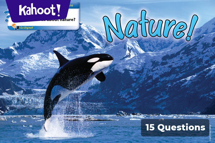 Wonders Grade 2 Unit 4 Week 5 - Kahoot! Quiz