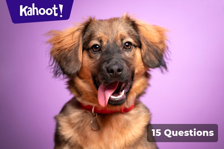 Chap 7: Dogs 4 - Kahoot! Quiz
