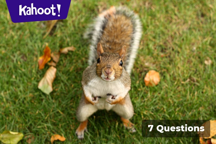 Resource Availability in Ecosystems: Lesson Quiz - Kahoot! Quiz