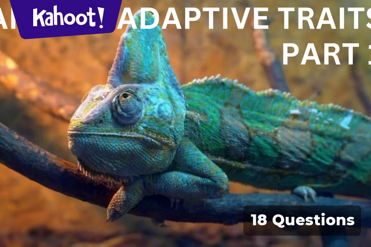 Intro to Animal Adaptive Traits, Part 1 - Kahoot! Quiz