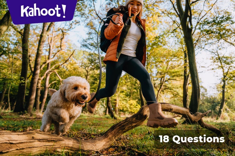 What do animals do in autumn? - Kahoot! Quiz
