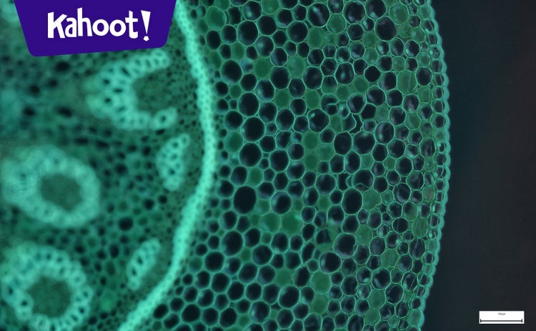 Cell Theory & Structure - Kahoot! Quiz