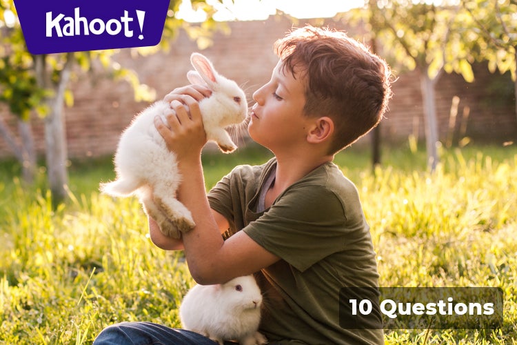Basic ESL Questions for kids. - Kahoot! Quiz