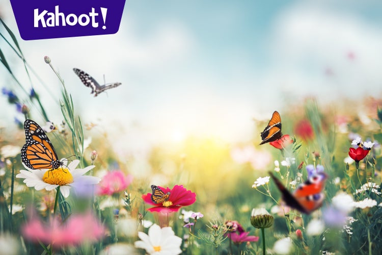 Would You Rather Spring - Kahoot! Quiz