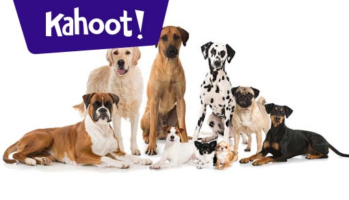 Dogs 1 - Kahoot! Quiz