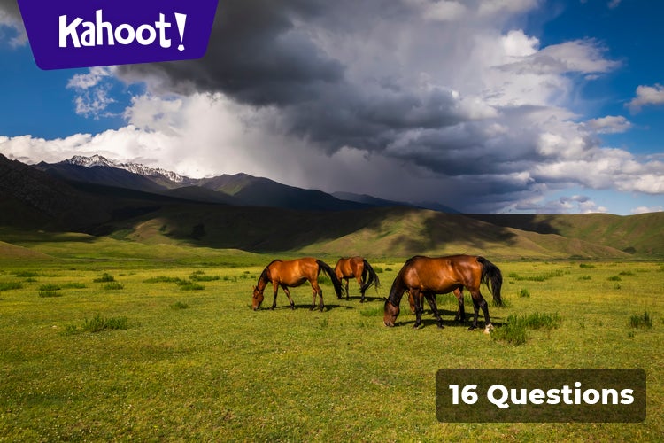 Plant and Animal Adaptations - Kahoot! Quiz