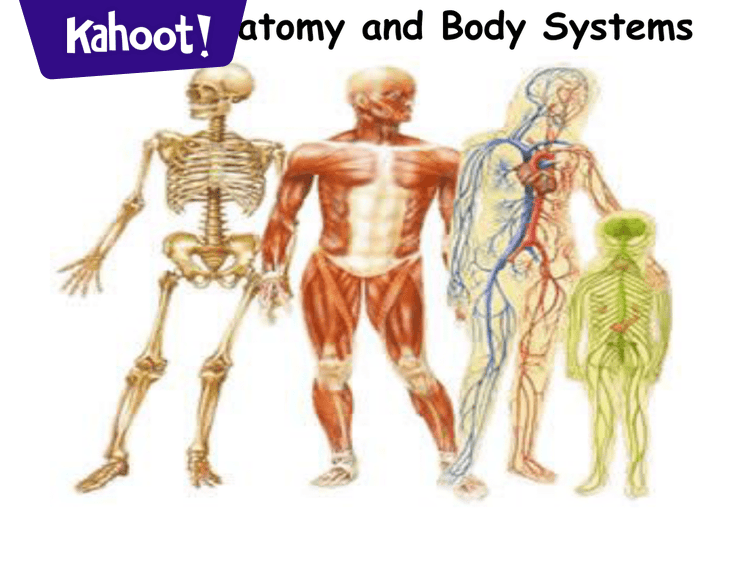 Anatomy Esthetics Part 4 - Kahoot! Quiz