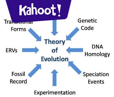 Evidence of Evolution 2 - Kahoot! Quiz