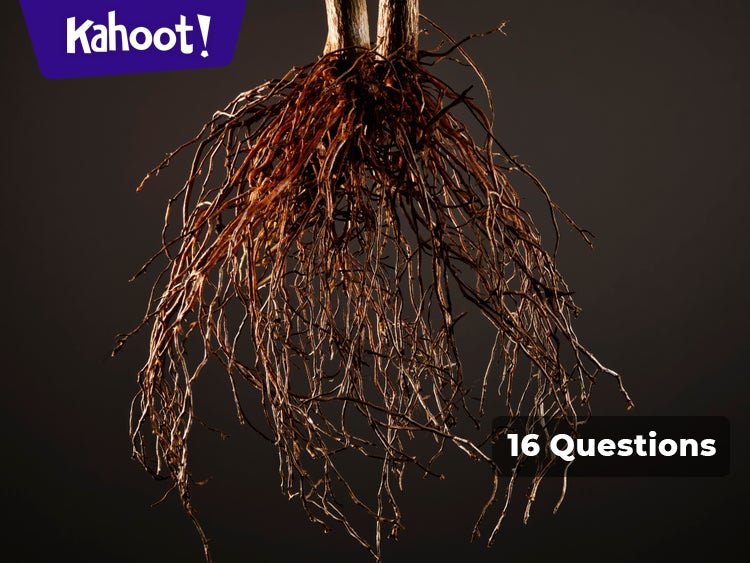 Plants - Kahoot! Quiz