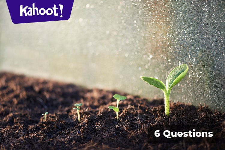 MCA Science about plant germination (question 1-4) - Kahoot! Quiz