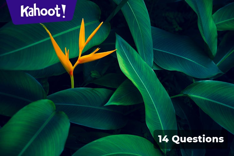 Year 9 Plants - Kahoot! Quiz
