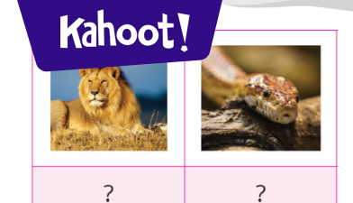 Animals 6 - Kahoot! Quiz