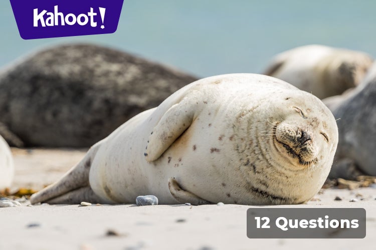 ASFB - Room 303 - Animal Image Reveal! - Kahoot! Quiz