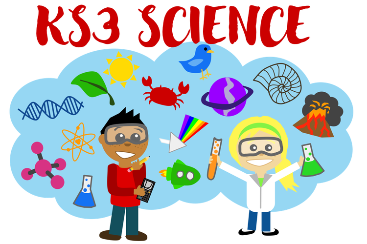 Y8 Science TERM 1 - Kahoot! Course