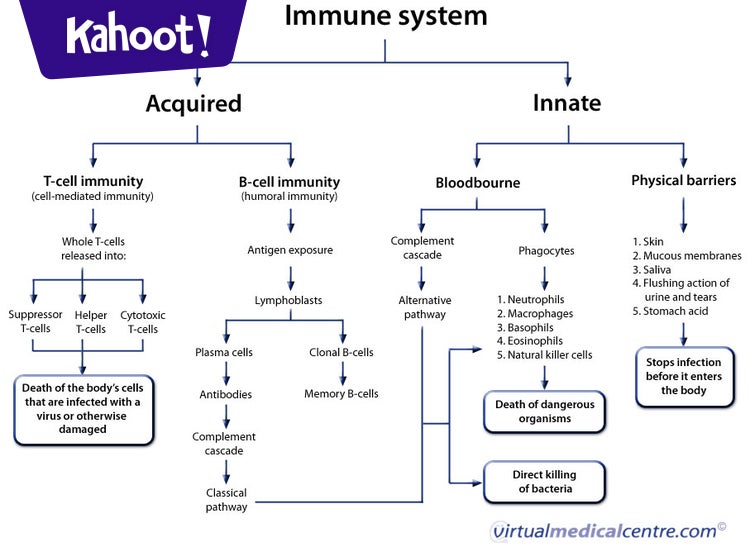 The Immune System (Crash Course) - Kahoot! Quiz