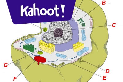 Parts of animal and plant cells - Kahoot! Quiz