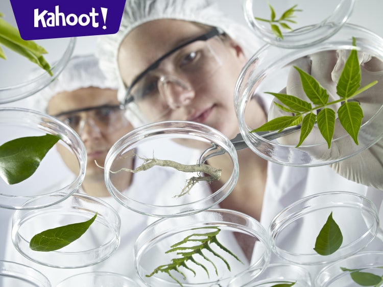 Plants -- Test Review - Kahoot! Quiz