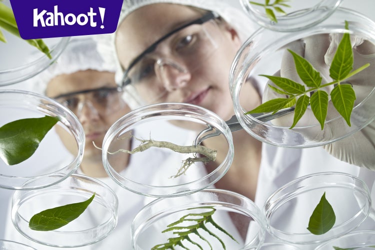 Science Equipment - Kahoot! Quiz