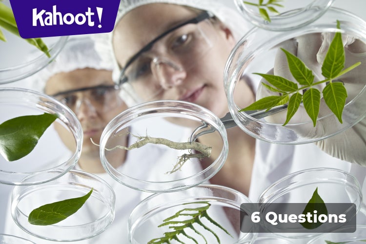 Behavior of Gases - Kahoot! Quiz