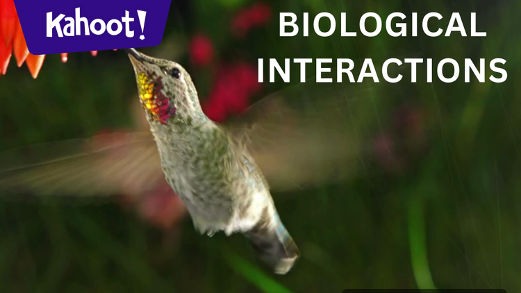 Intro to Biological Interactions - Kahoot! Quiz