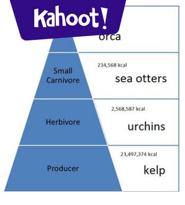 Part 1 Homeostasis Storyline - Kahoot! Quiz