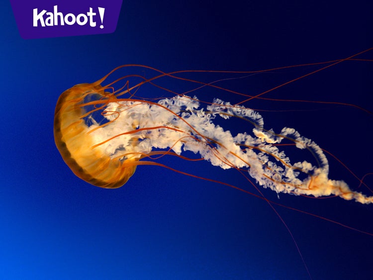 Duplicate of Investigation 3 I-Check- FOSS Water & Climate - Kahoot! Quiz