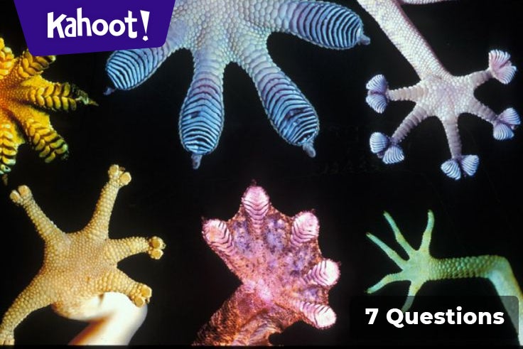 Intermolecular Forces - Kahoot! Quiz