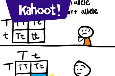Genetics & Punnett Squares - Kahoot! Quiz