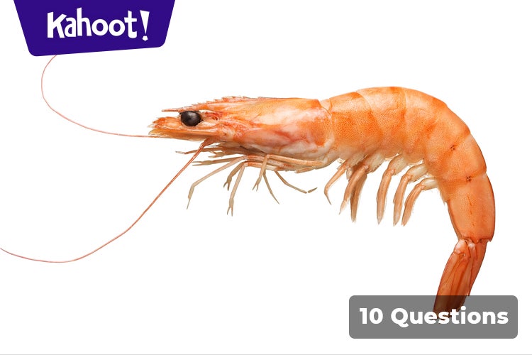 cool animal facts - Kahoot! Quiz