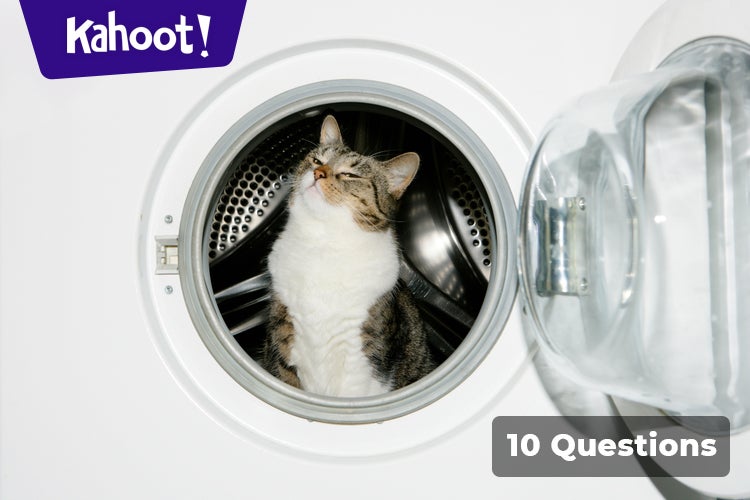 Vocabulary: In the laundry room - Kahoot! Quiz