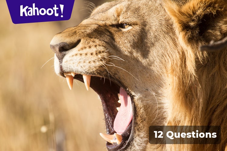 Animal review (6) - Kahoot! Quiz