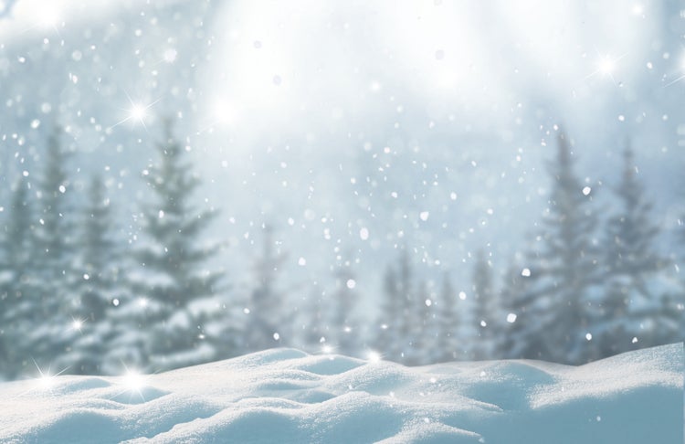 Winter Collection - Kahoot! Course