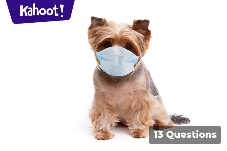 Infectious diseases - Dog - Kahoot! Quiz