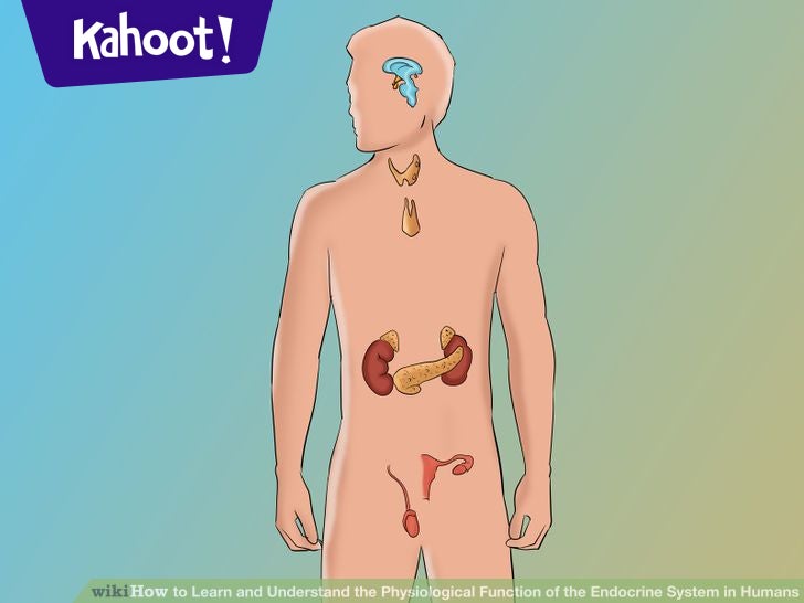 Endocrine System Review - Kahoot! Quiz