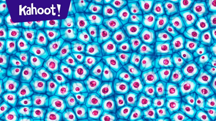 VN03 - Cells and Cell Division - Kahoot! Quiz