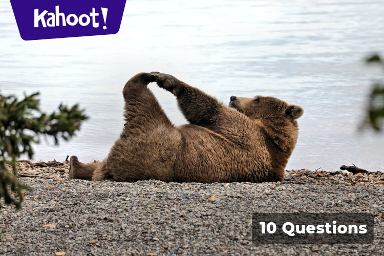 B2 Animals - Kahoot! Quiz