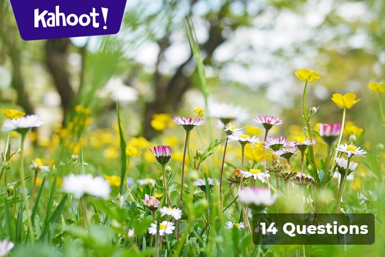 Easter vocabulary - Kahoot! Quiz