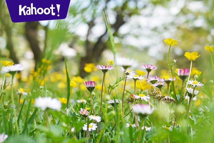 Spring Seasons v2 - Kahoot! Quiz