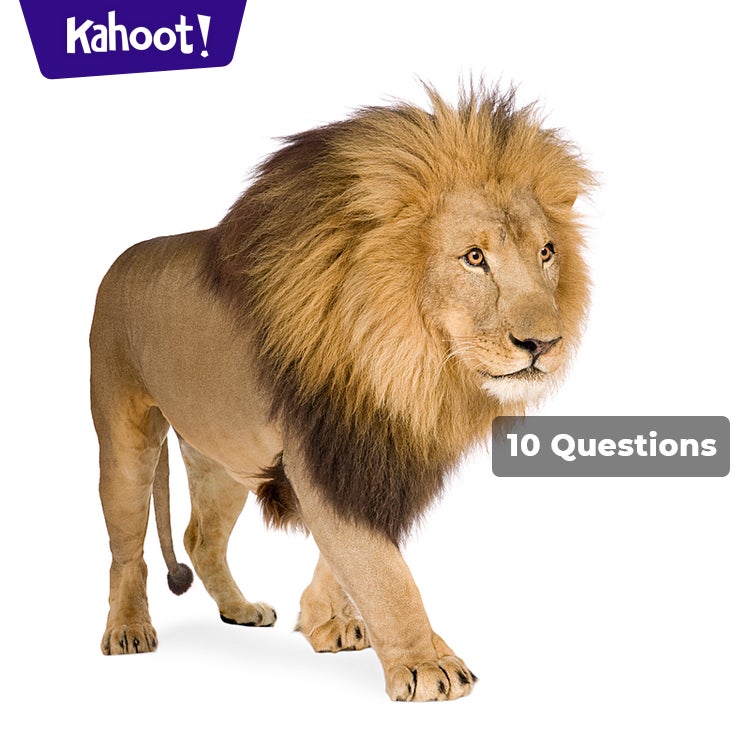 A2-A2+: Wild animals - Kahoot! Quiz