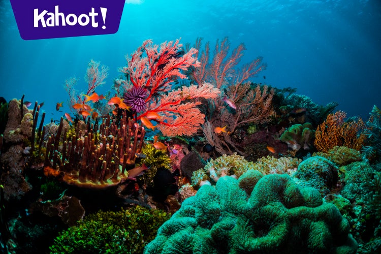 Life Below Water: Ocean Conservation - Kahoot! Quiz