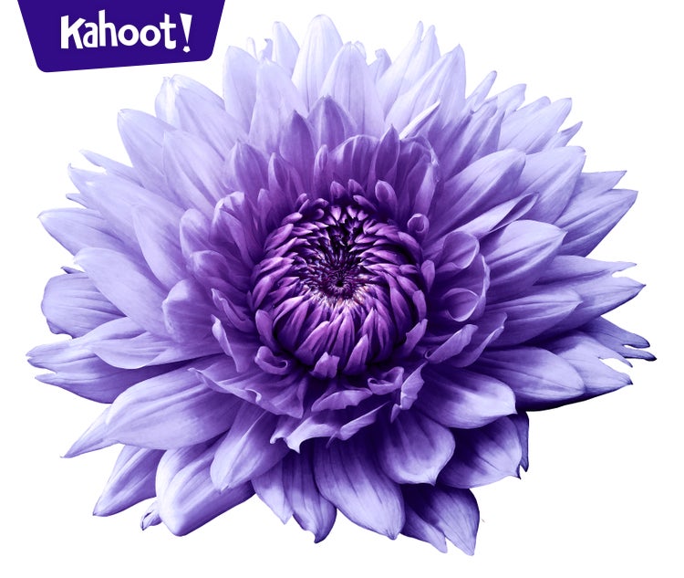 Adjective Agreement in French • L'accord des adjectifs - Kahoot! Quiz