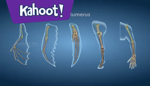 Chapter 6 Review Kahoot | Fosssil & Biological Evidence of Evolution ...